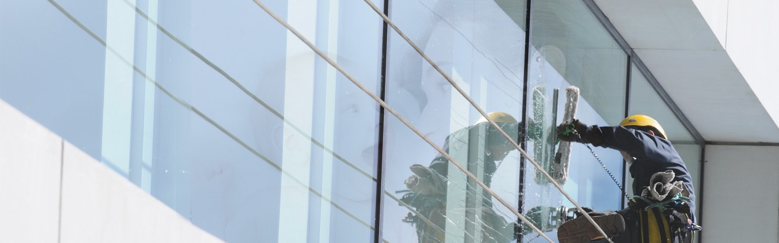 Three Dimension Cleaning L.L.C